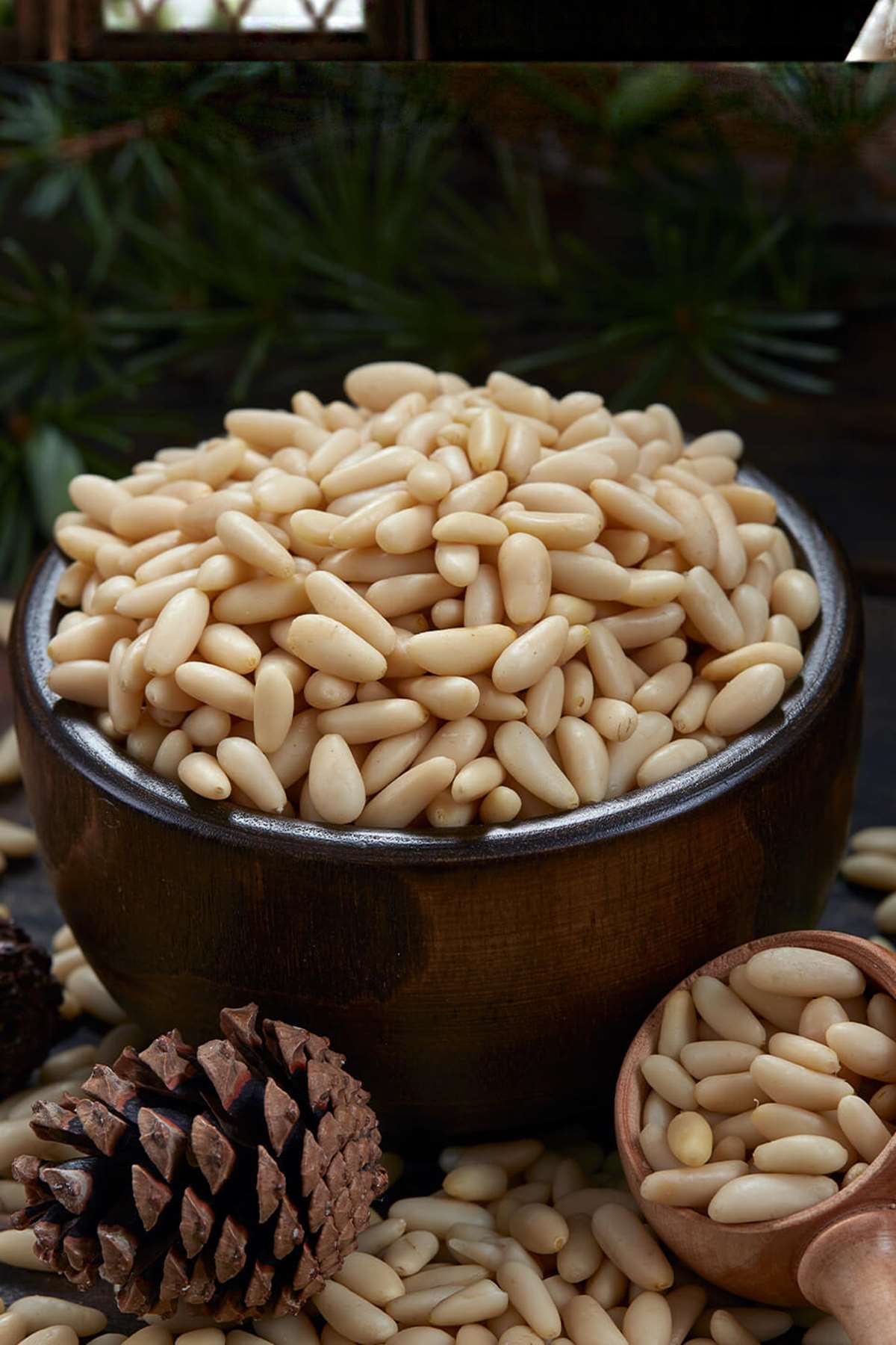 Çam Fıstığı - Antep Marketi